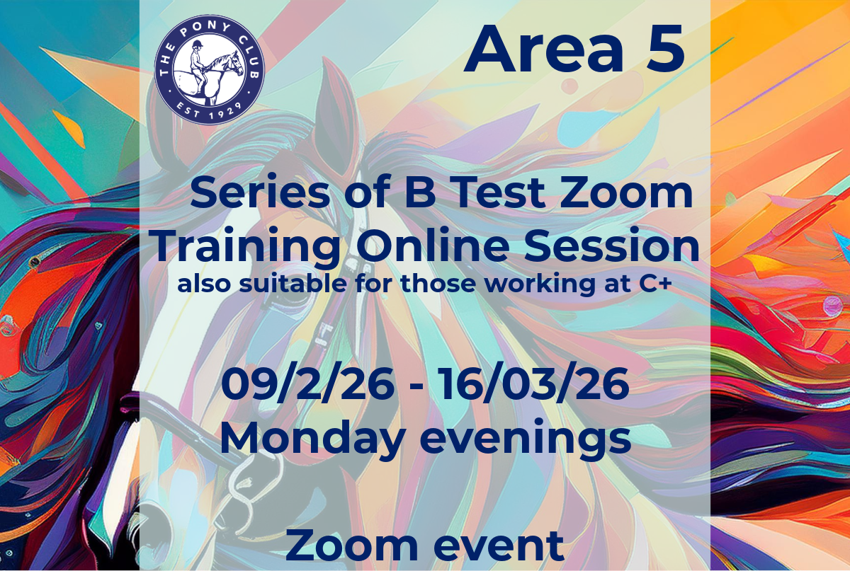 Area 5 Zoom Training Series – Upcoming Dates and Booking Details ...