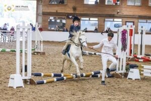 Show Jumping Overview - Ashford Valley
