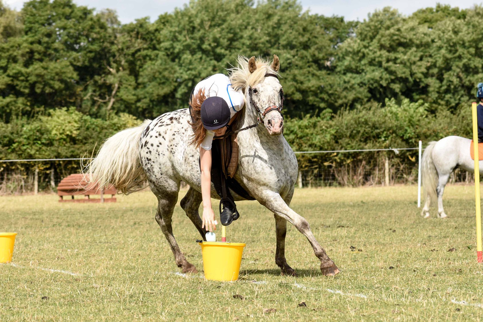 Photo Gallery - Burton Pony Club