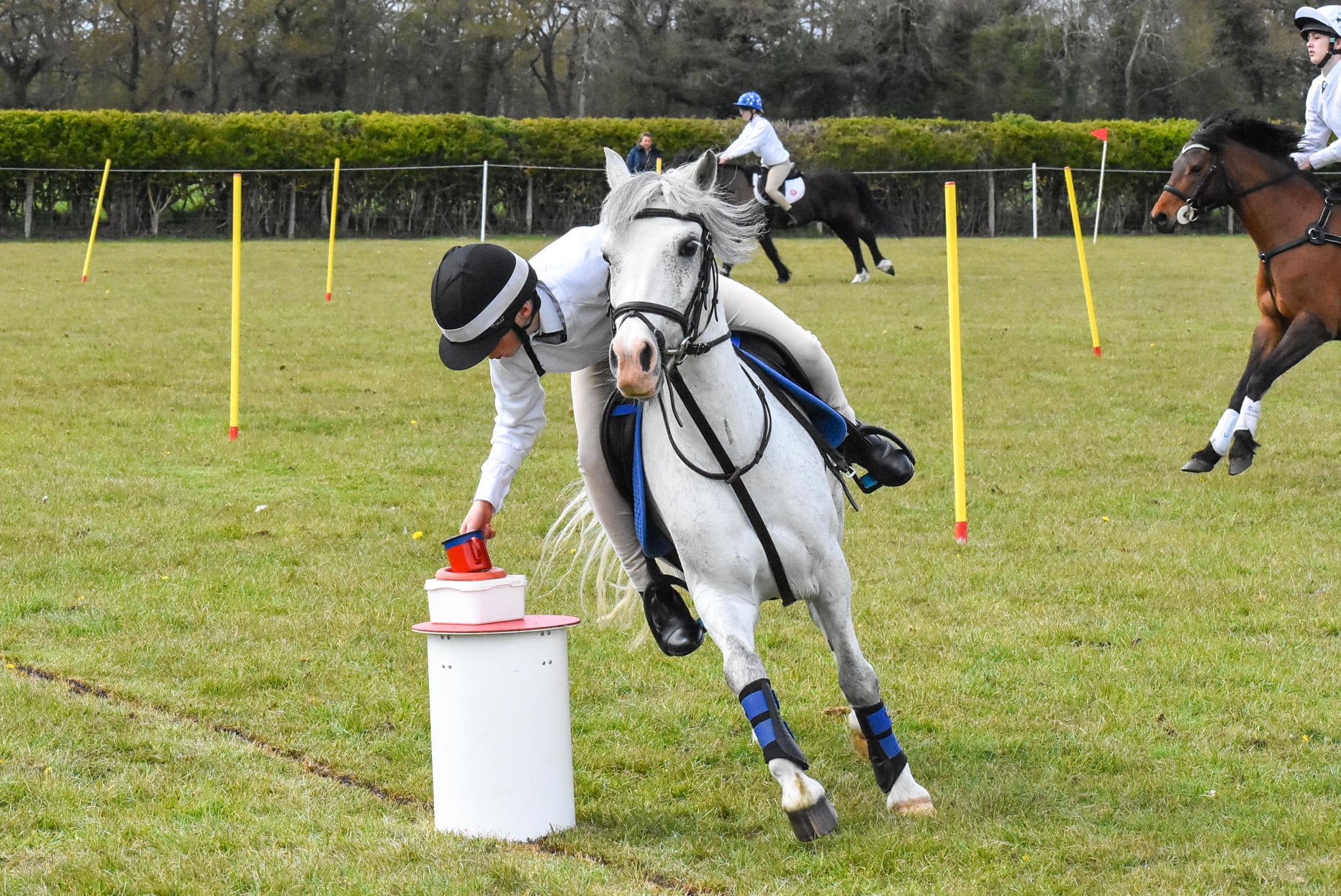Photo Gallery - Burton Pony Club