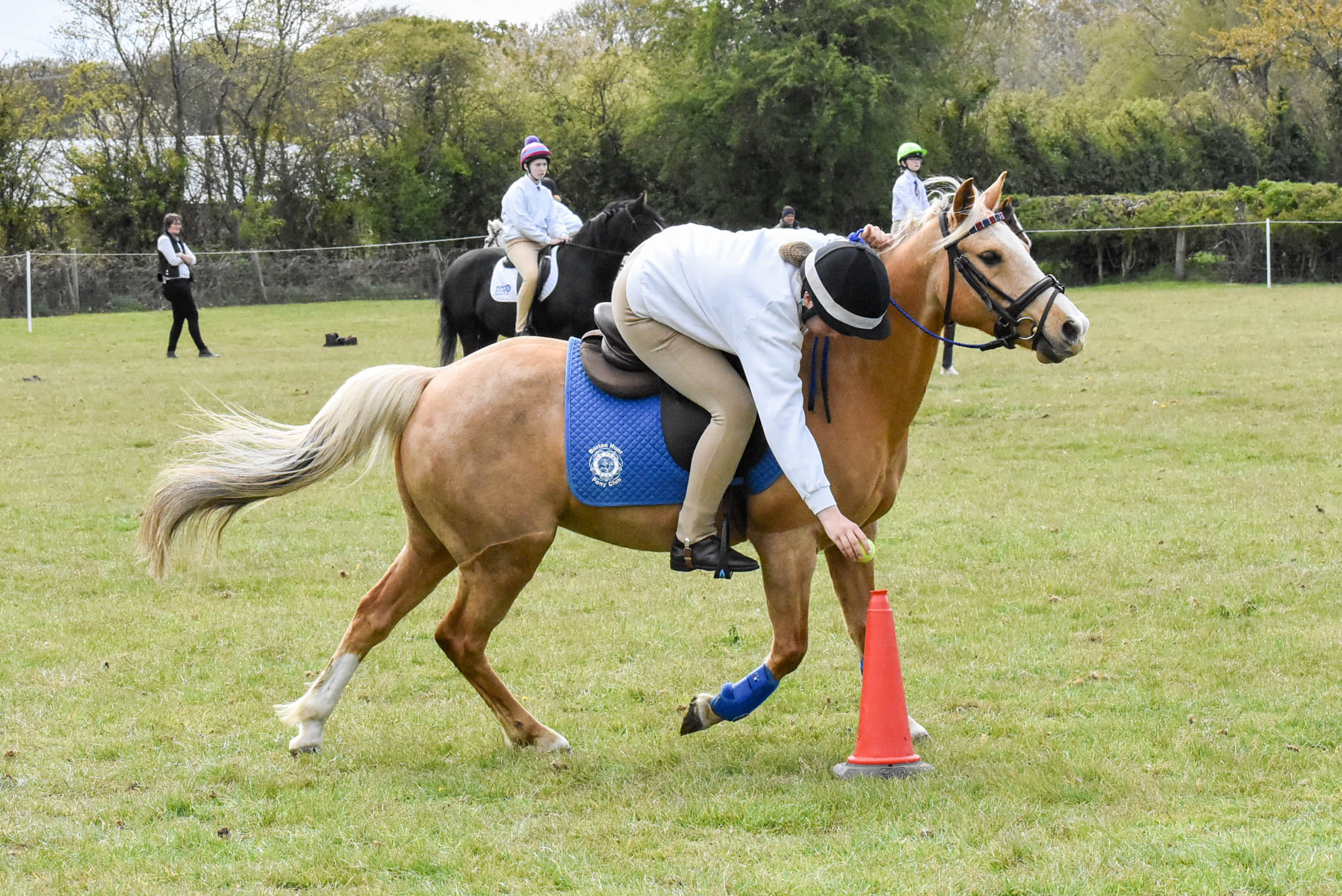 Photo Gallery - Burton Pony Club