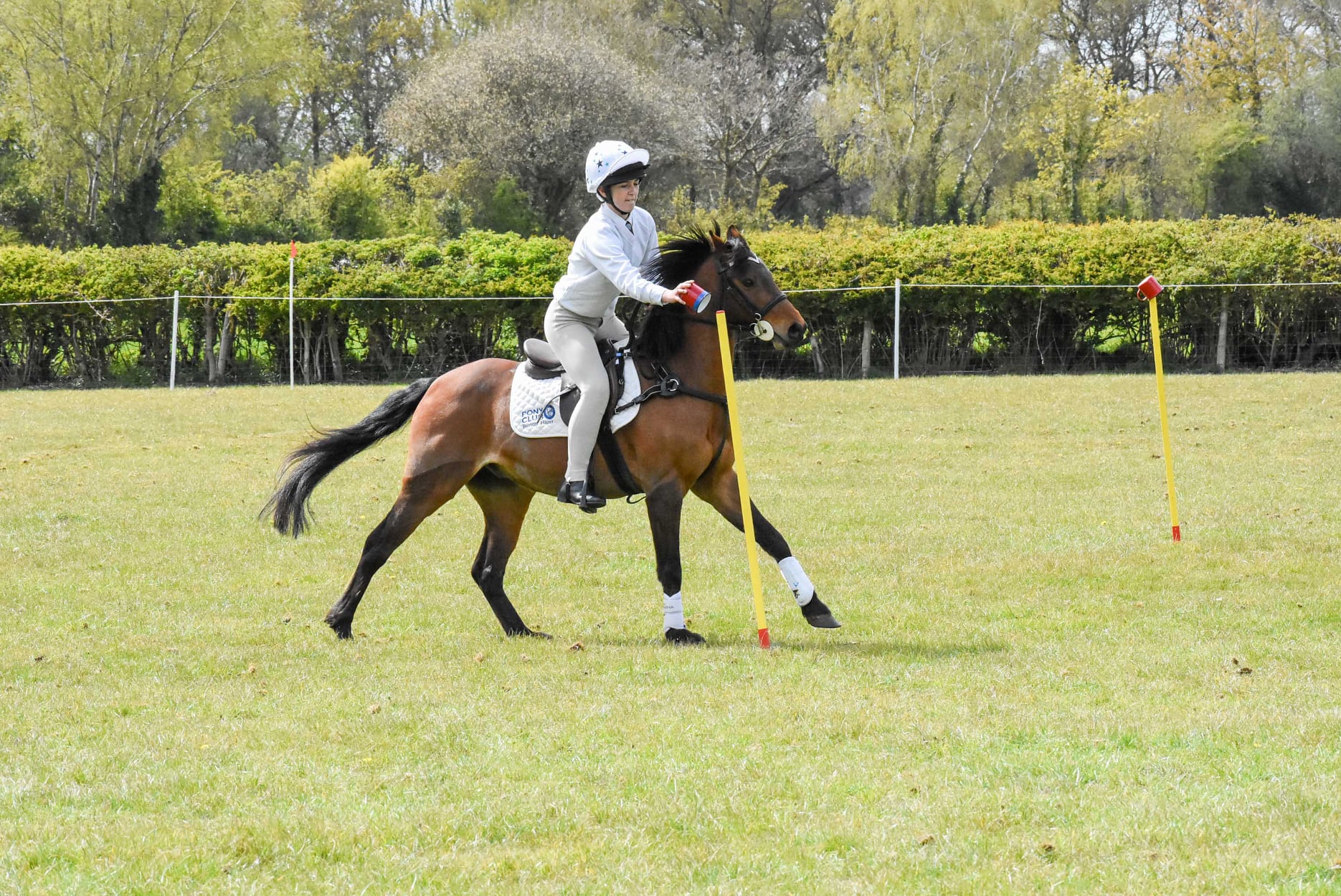 Photo Gallery - Burton Pony Club