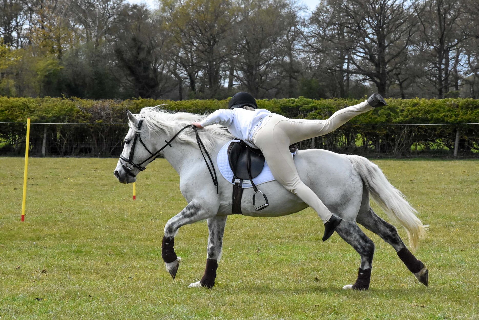 Photo Gallery - Burton Pony Club