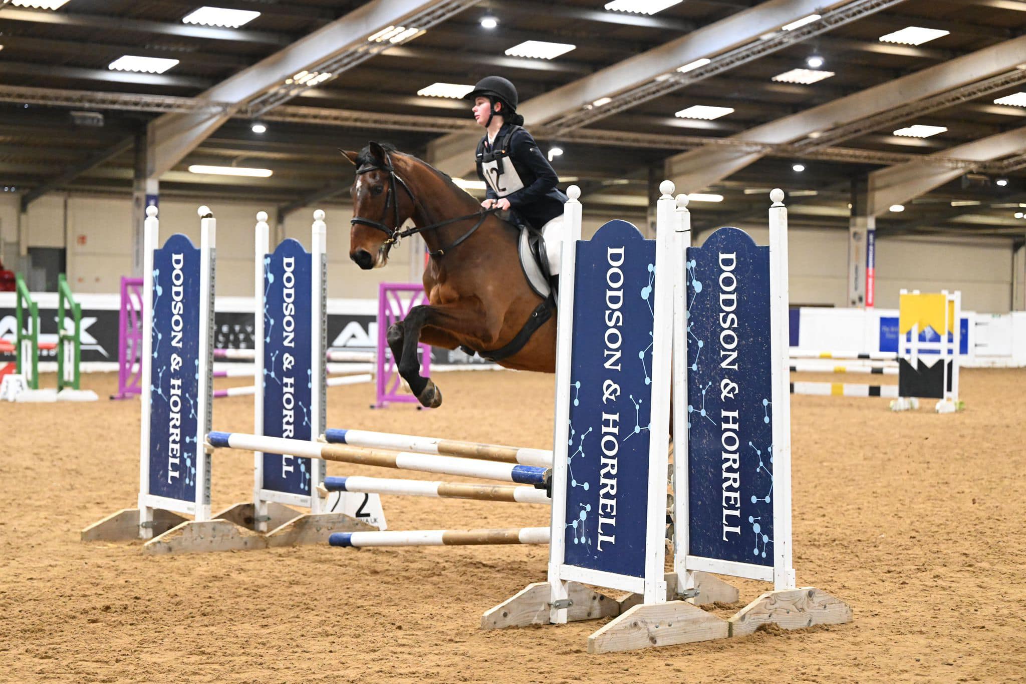 Results - Area / Championships 2025 - Burton Pony Club