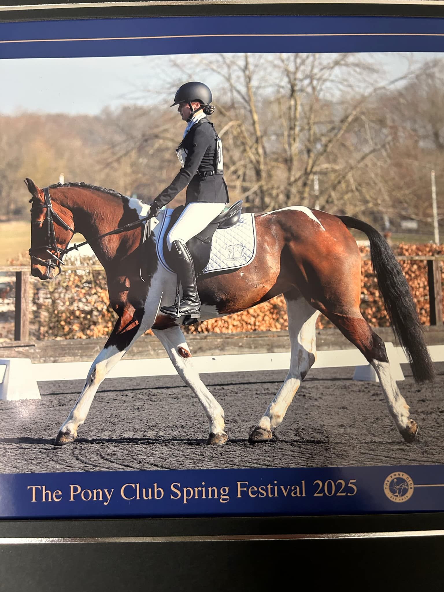 Results - Area / Championships 2025 - Burton Pony Club