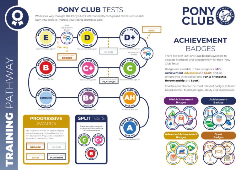 Pony Club Tests and Badges - Old Surrey & Burstow Hunt